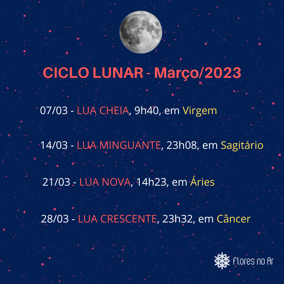 Flores no Ar | Confira as fases da Lua em Março de 2023!Flores no Ar