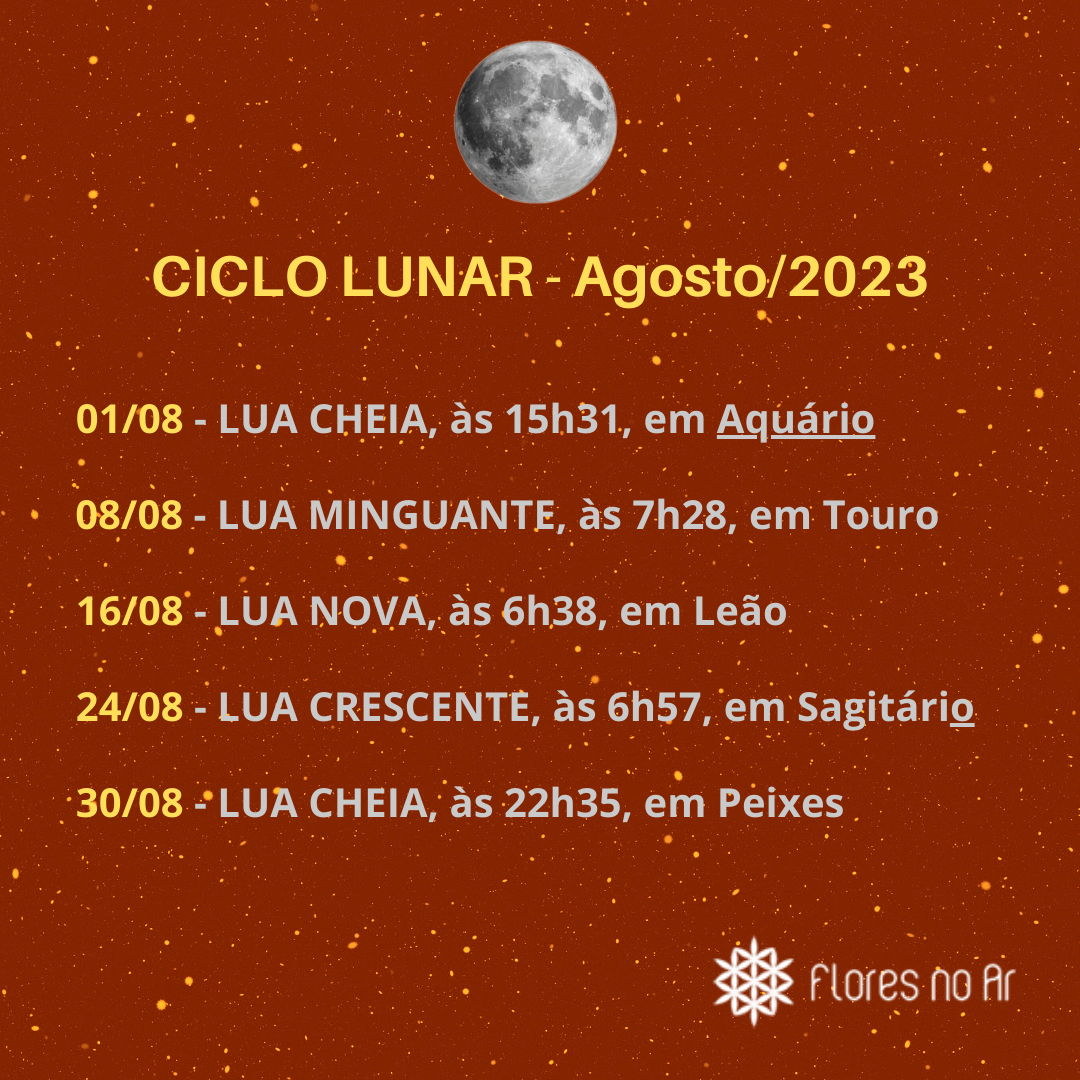Flores no Ar | Fases da Lua em Agosto de 2023!Flores no Ar